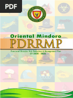 3 - Introduction To DRRMIS | PDF | Information Science | Software