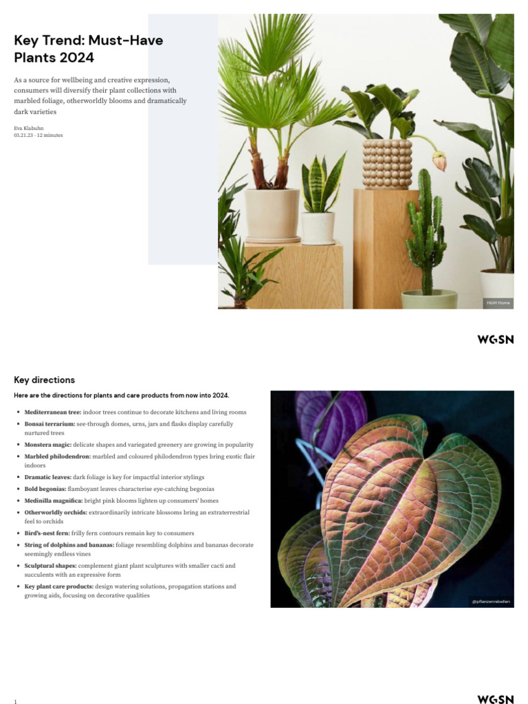 Key_Trend__Must_Have_Plants_2024_en | PDF | Houseplant | Plants