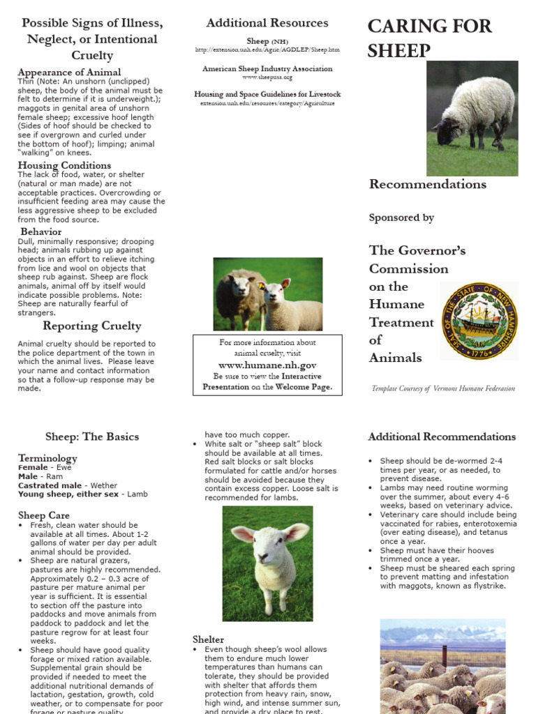 sheep-care-trifold | PDF | Sheep | Livestock