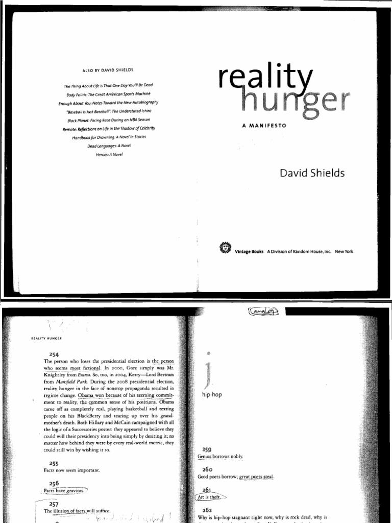 Reality Hunger (Excerpt) | PDF