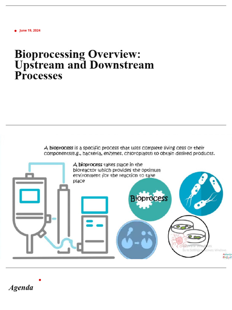 Bioprocessing Overview - Upstream and Downstream Processes | PDF | Protein Purification | Enzyme