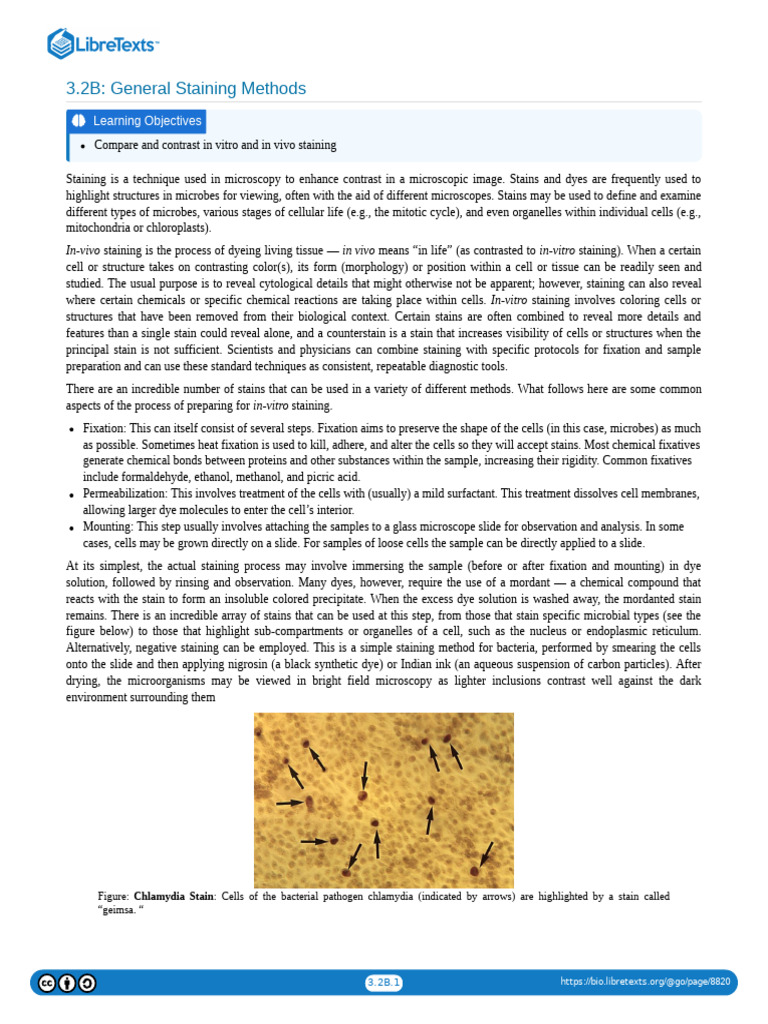 3.2B - General Staining Methods | PDF | Staining | Fixation (Histology)