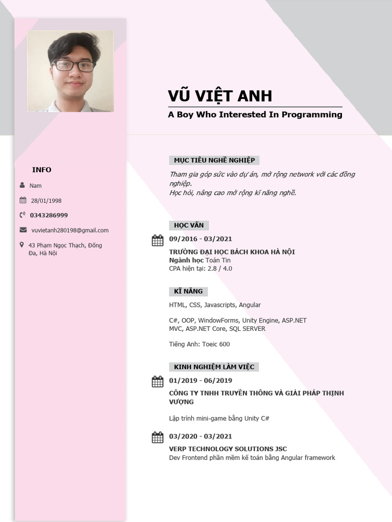 Vu Viet Anh CV | PDF