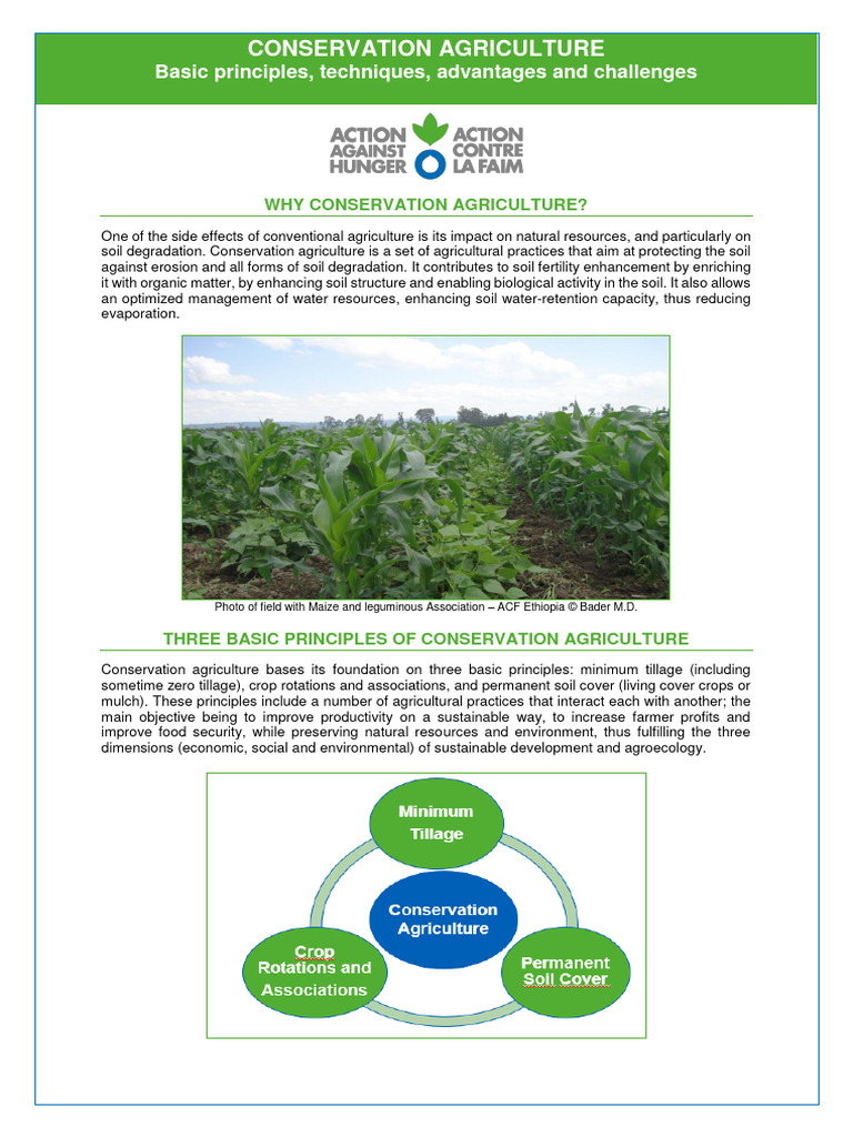 Conservation Agriculture en | PDF | Agriculture | Crop Rotation