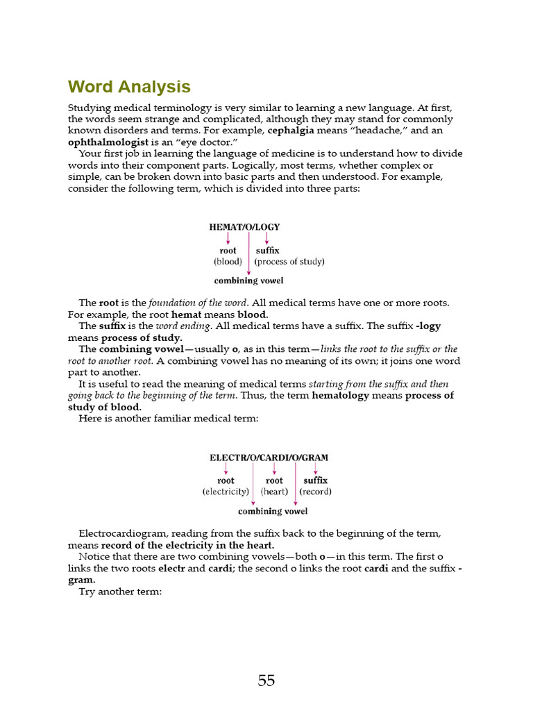 Word Analysis | PDF | Linguistics | Languages