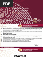 13 Directrices de Cero Tolerencia | PDF | México