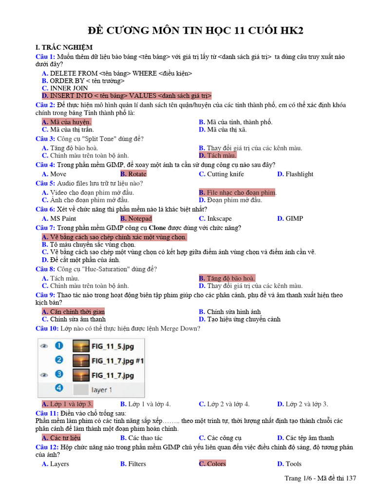 DE CUONG TIN 11 HKII editedPD | PDF