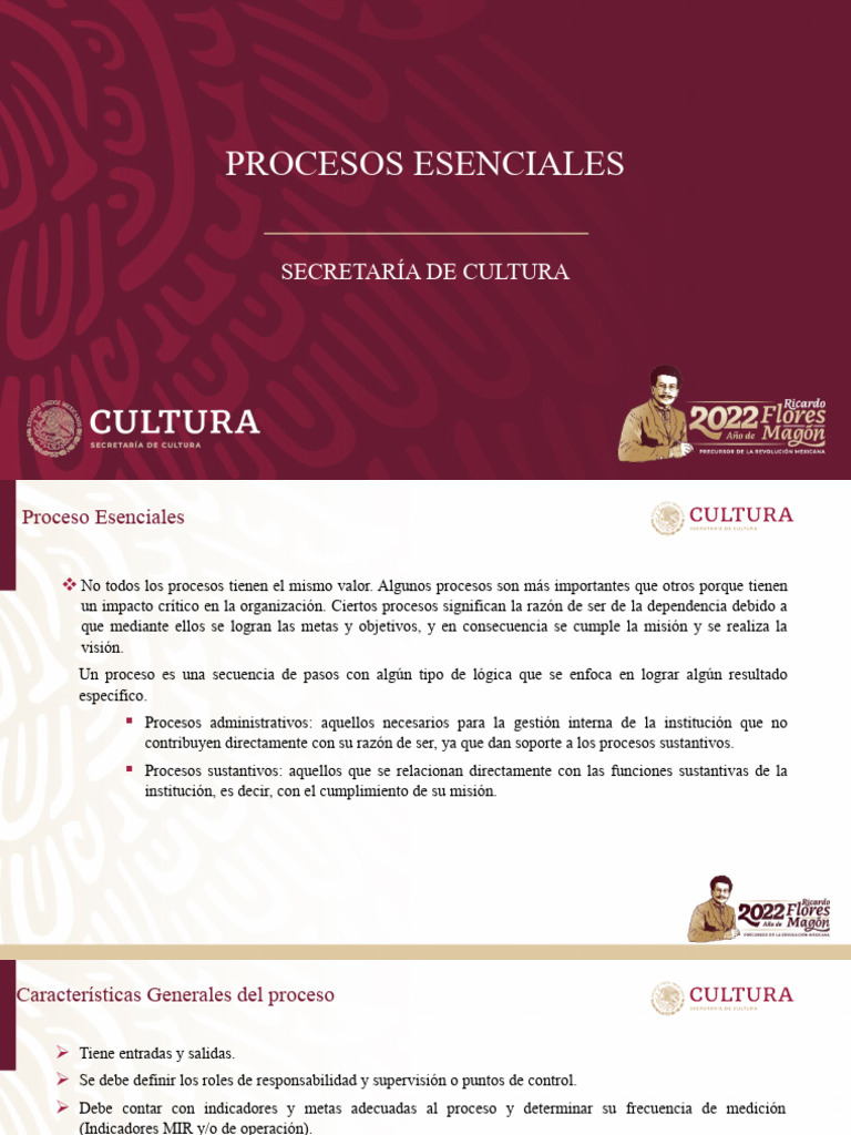 Presentación Sobre Integración de Procesos | PDF | Conocimiento
