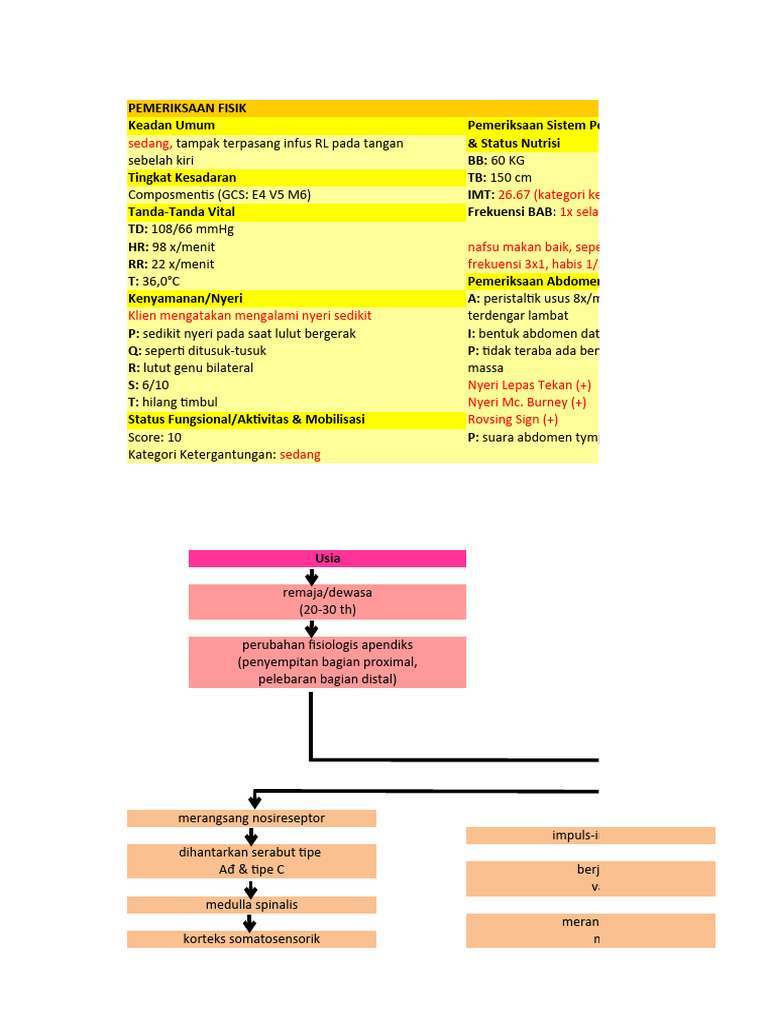 3 Pathway Apendisitis | PDF