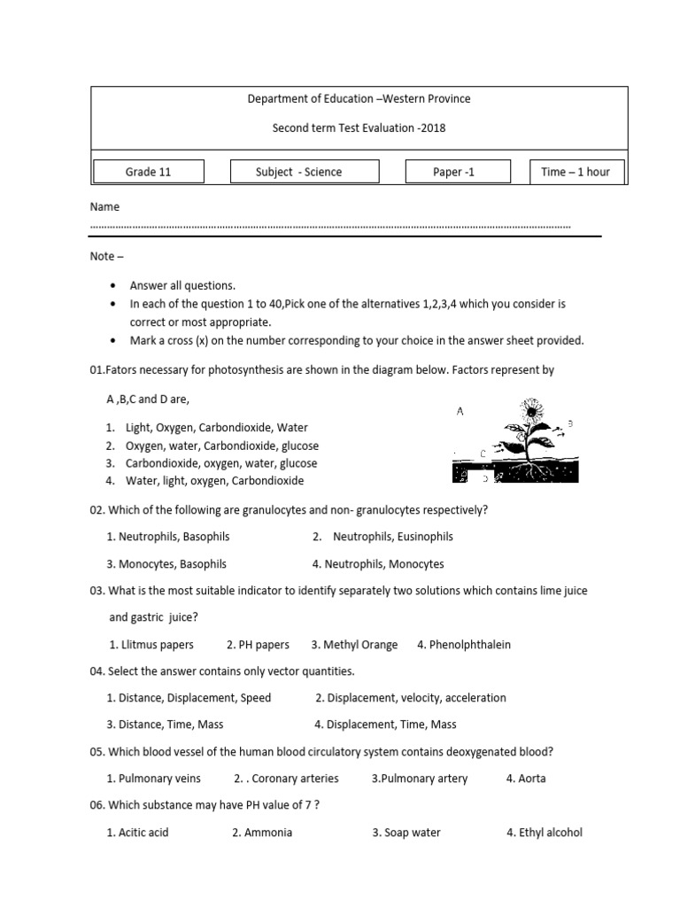 Science 2nd Term Test 2018 Provincial Past Papers | PDF | Fluorescent ...