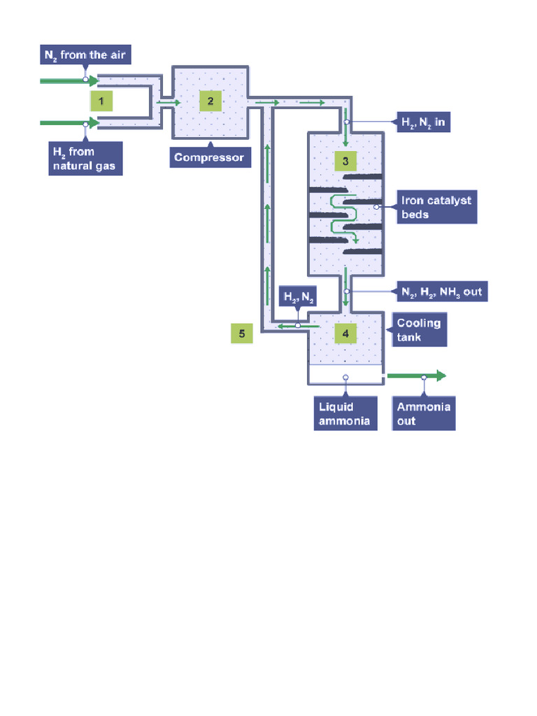 Haber Proces (Flow) | PDF