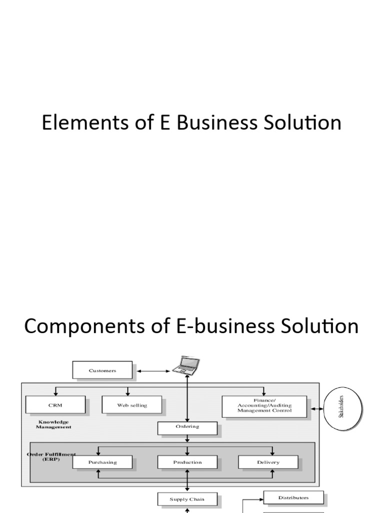 Elements of E Business Solution | PDF | Enterprise Resource Planning ...