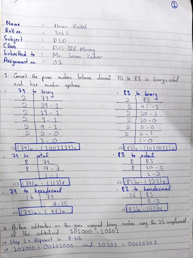 Dld Assignment 3062 Pdf