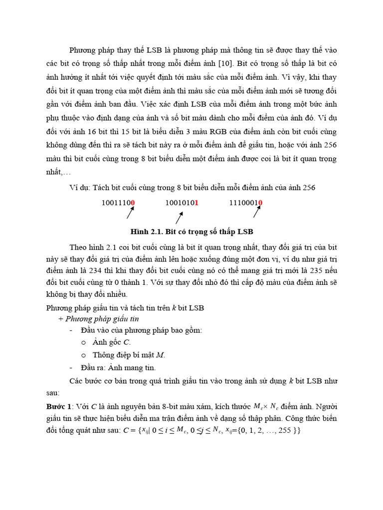 Giấu tin bằng LSB | PDF