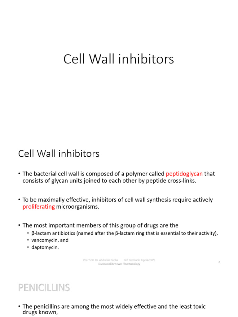 Cell Wall Inhibitors | PDF | Penicillin | Beta Lactamase