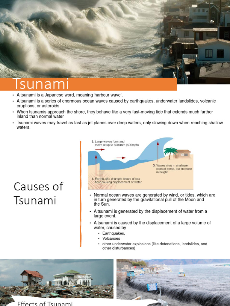 Tsunami | PDF