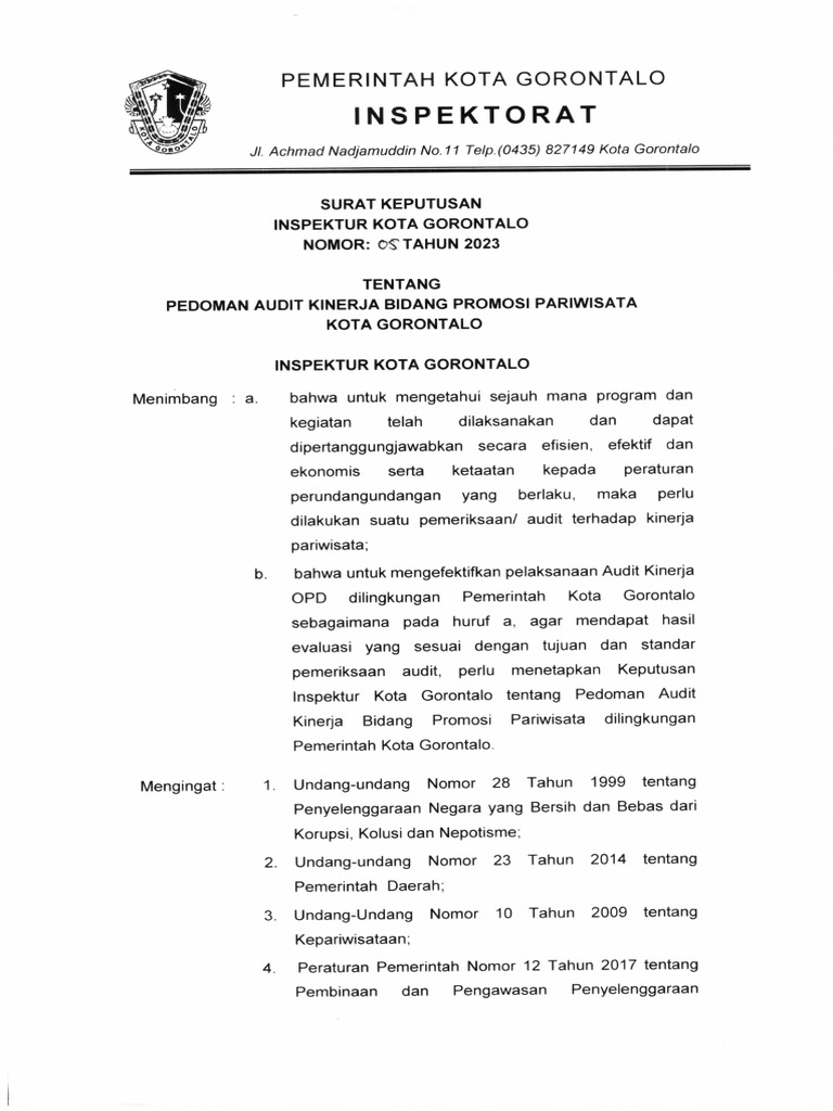 Pedoman SK Audit Kinerja 2023 | PDF