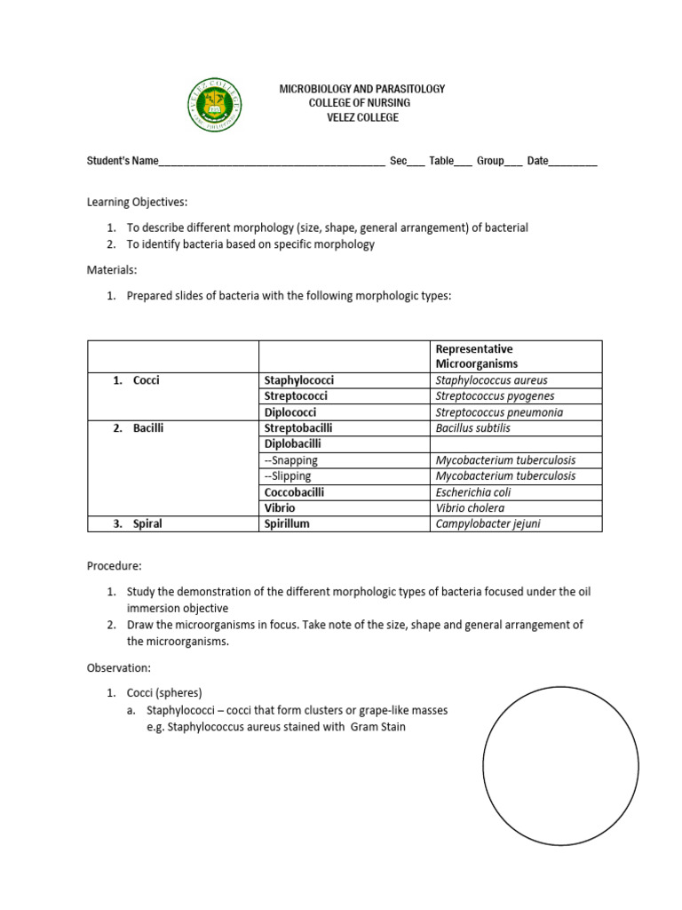 Lab Ex 2 Manual | PDF | Bacteria | Staphylococcus