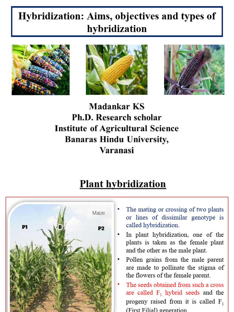 Plant Hybridization Aimsobjectivesandtypesofhybridization | PDF | Plant ...