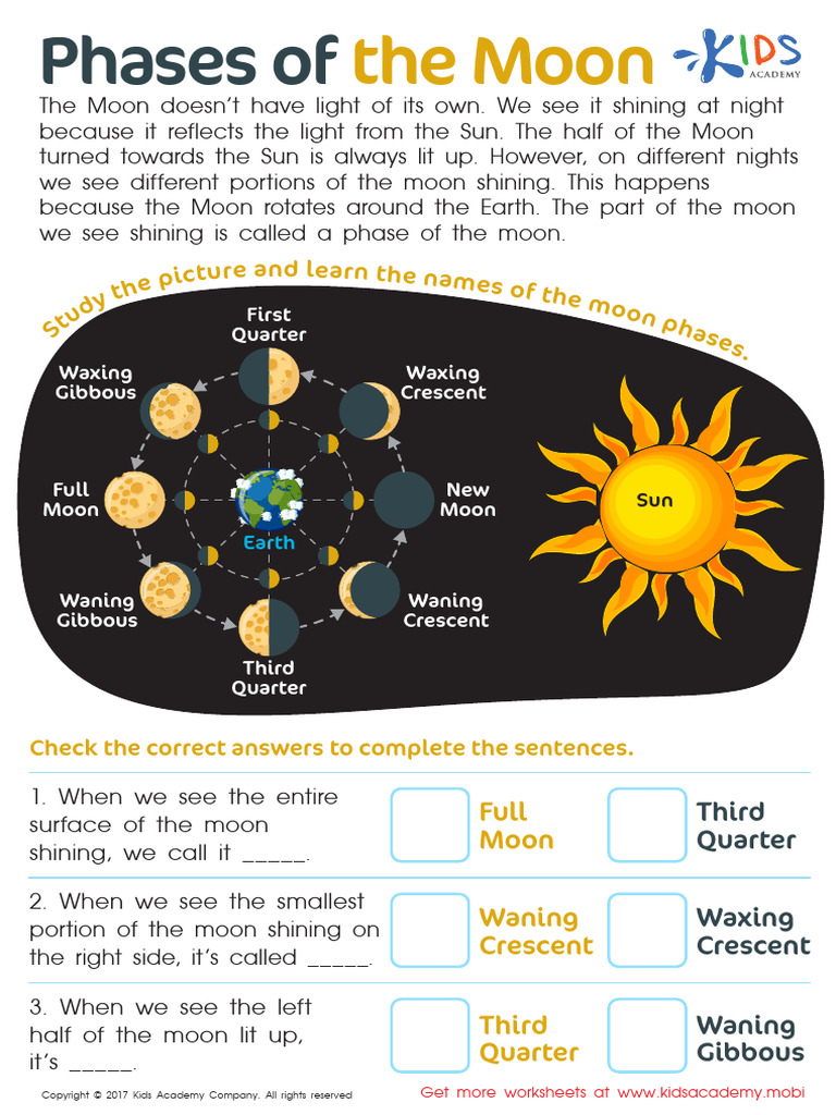 2nd Grade Moon Phases Worksheet | PDF