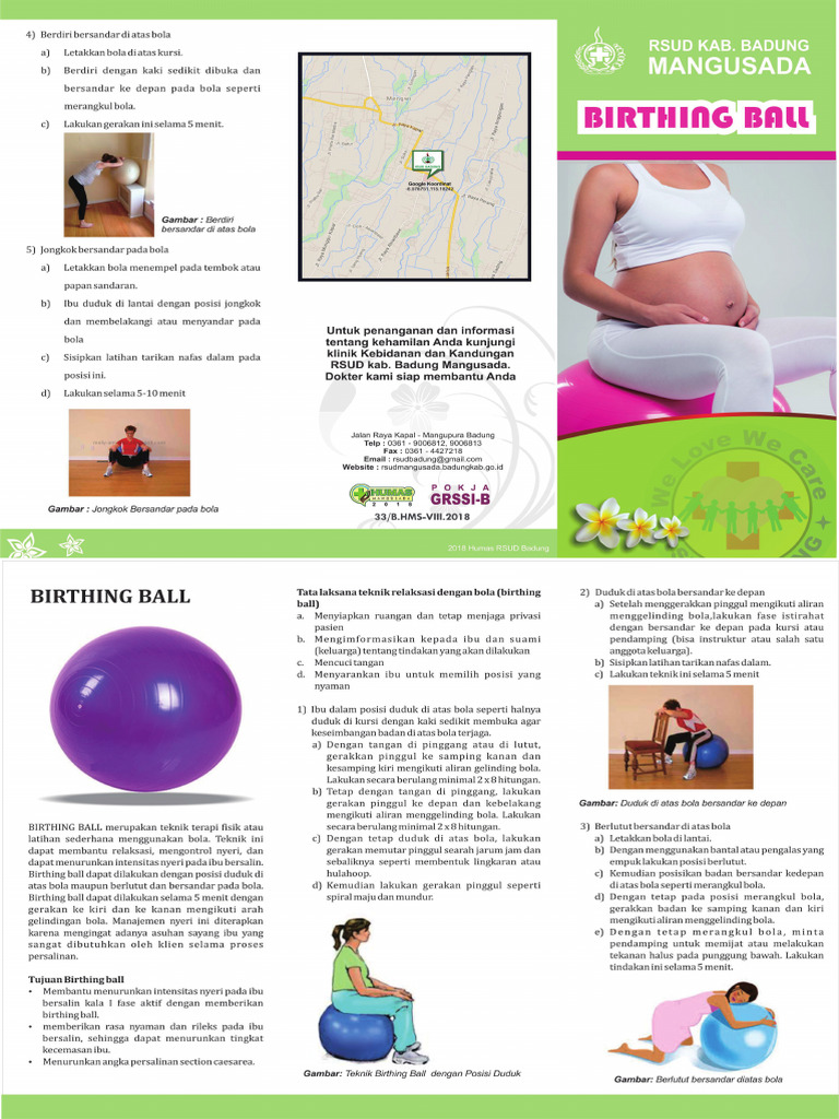 32_ Birthing Ball | PDF