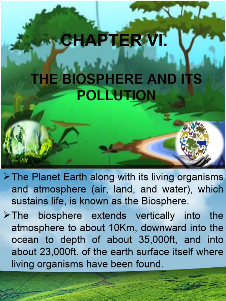 Chapter Vi. the Biosphere and Its Pollution | Download Free PDF | Water ...