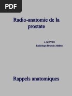 Anatomie de la Prostate chez l'Homme | PDF | Prostate | Anatomie