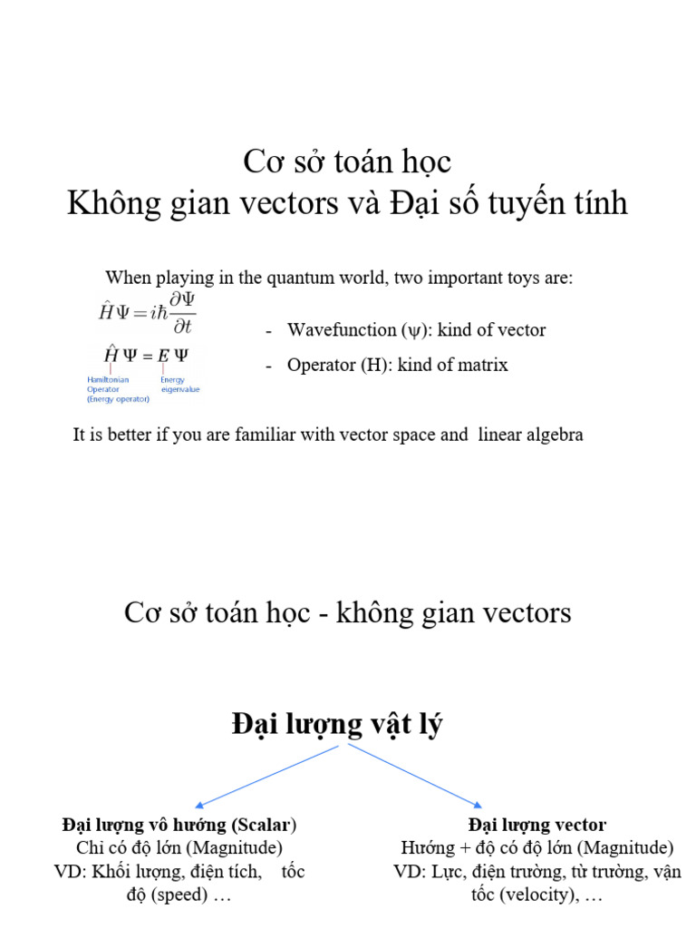1 - Vector Space and Linear Albegra | PDF