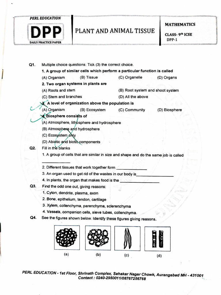 Class 9 ICSE Worksheet (3-5 Years Old) - 20240627-202654 | PDF