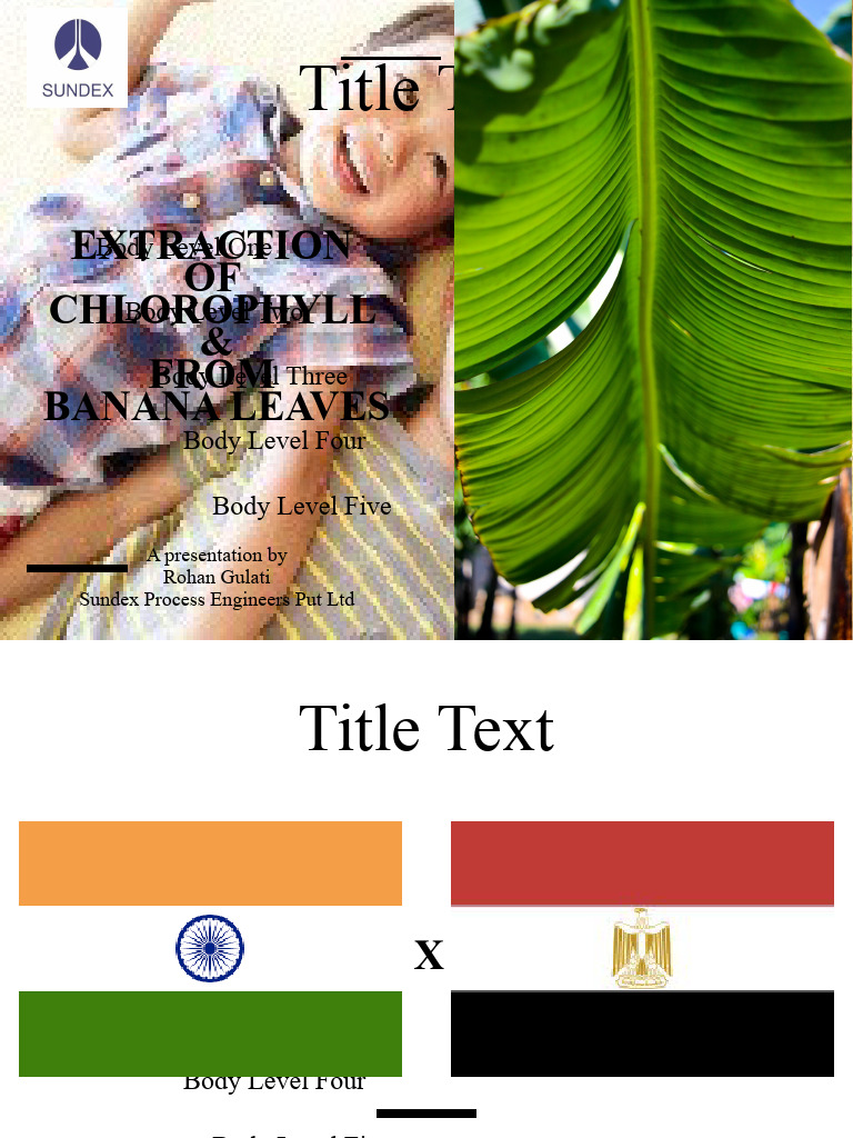 Sundex Presentation - K09 | PDF | Supercritical Fluid | Carbon Dioxide
