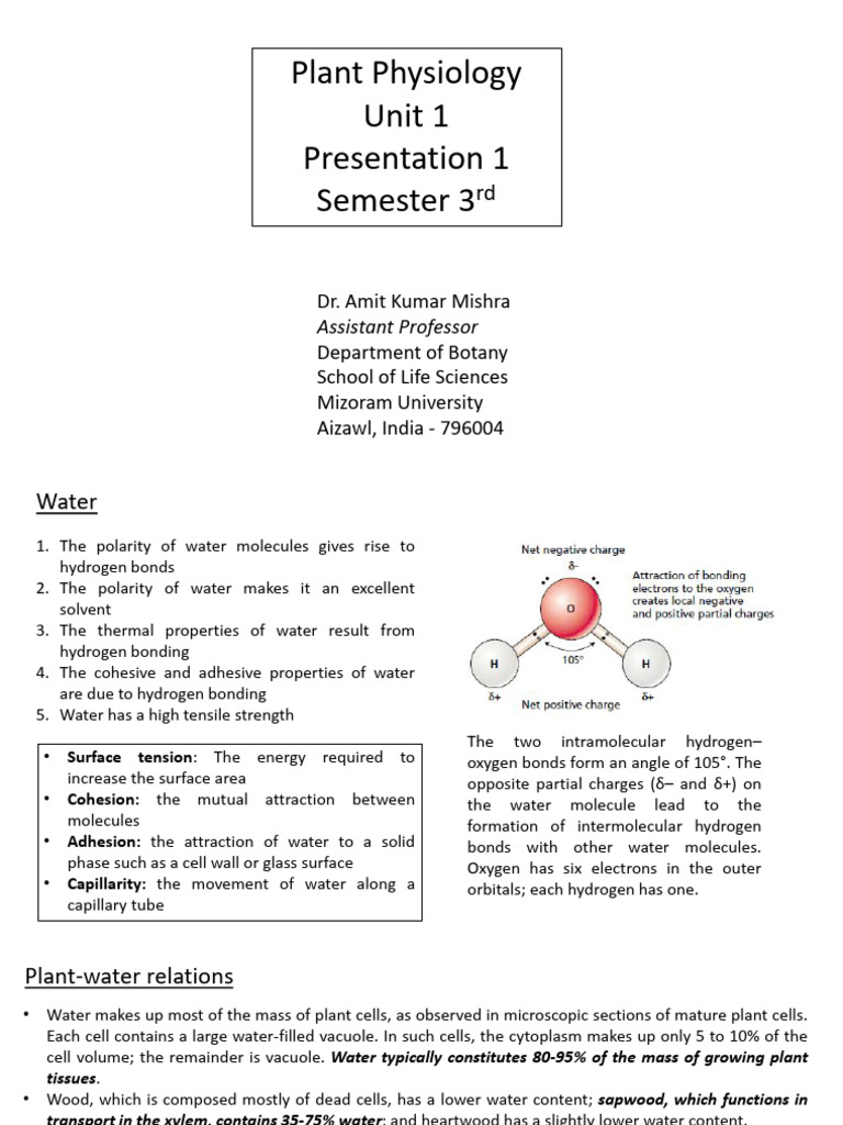 Unit 1-Plant Physiology - Lecture 1 (Water, Diffusion, Symport, Antiport, Etc.) | PDF ...