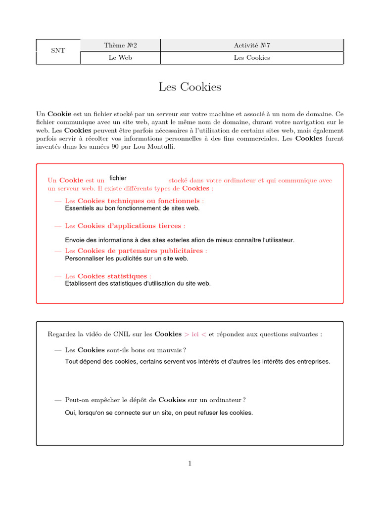 Les Cookies | PDF | Cookie (informatique) | Internet