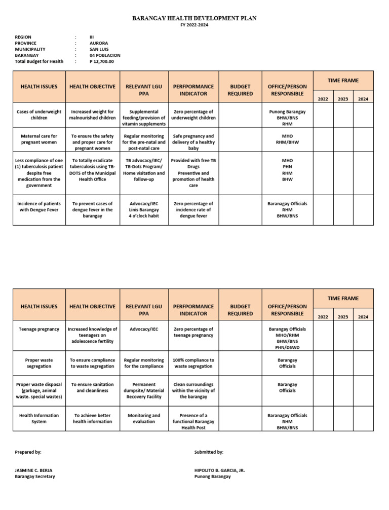 Barangay Health Development Plan | PDF | Pregnancy | Tuberculosis