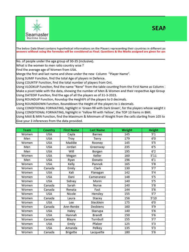 Excel Test Sheet - Seamaster Maritime Group | PDF