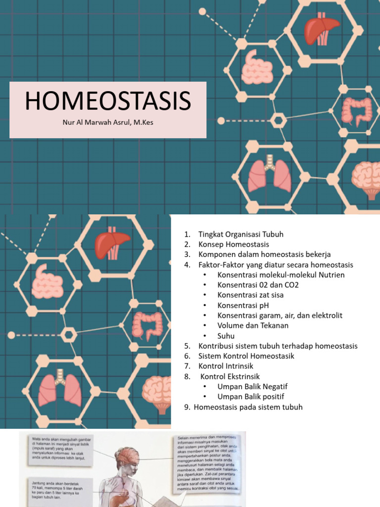 HOMEOSTASIS Materi | PDF | Pengembangan Diri | Kesehatan Holistik