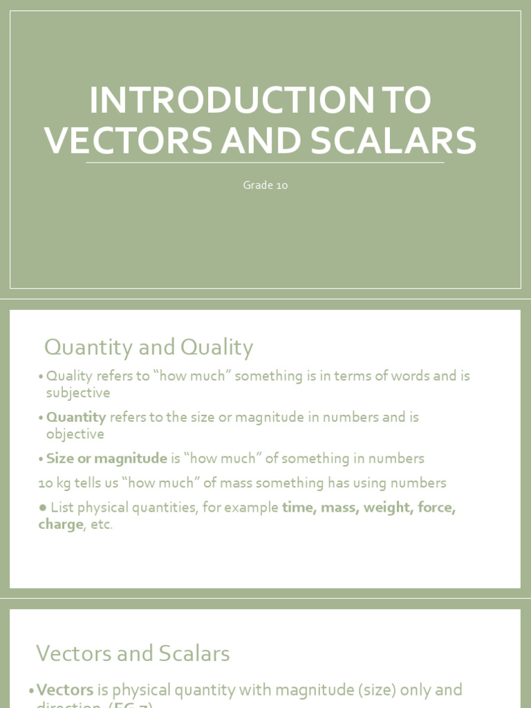 Vectors and Scalars Guide Grade 10 | PDF | Euclidean Vector | Weight
