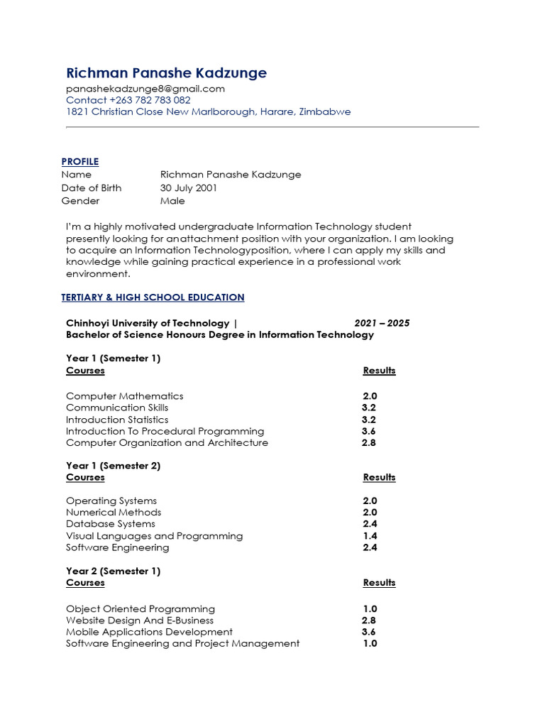 Richman Kadzunge CV | PDF | Computer Programming | Software