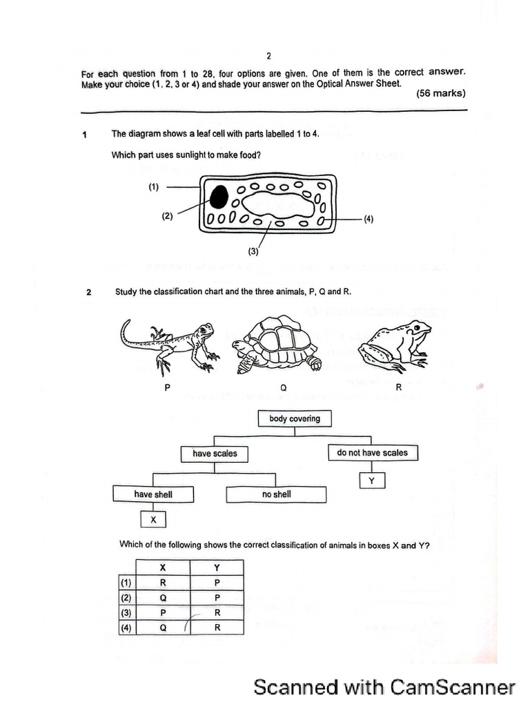 PSLE Science 19 Paper | PDF
