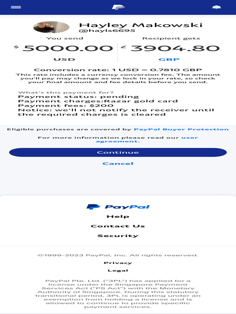 PayPal Currency Conversion Details | PDF
