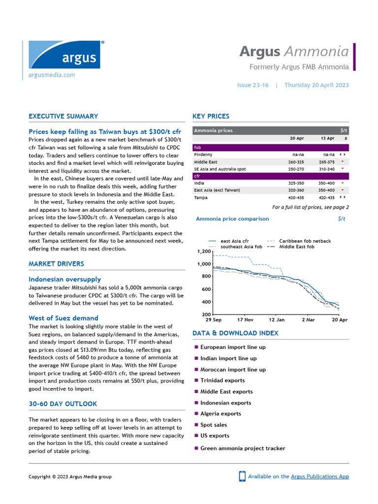 Argus ammonia | Download Free PDF | Fertilizer