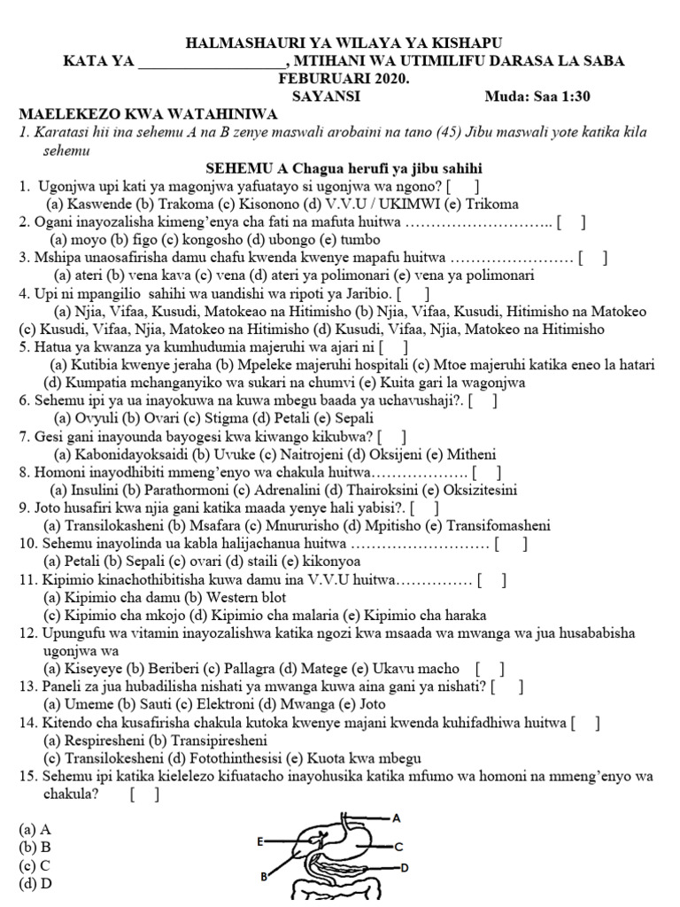 Sayansi Feb 2020 | PDF