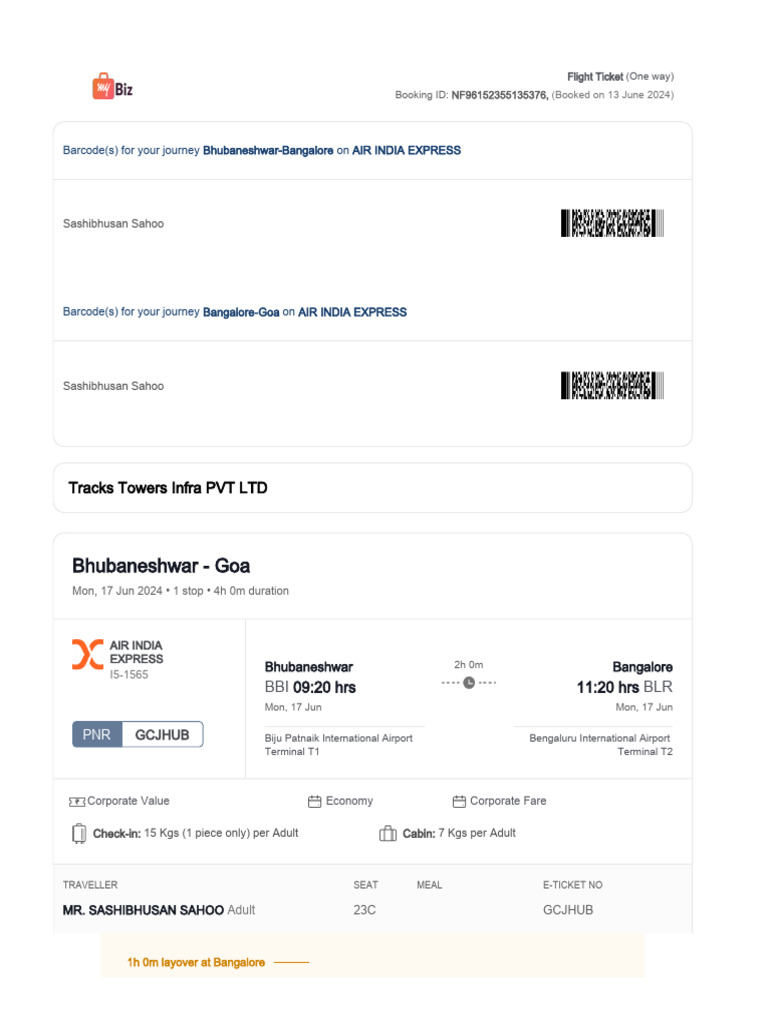 NF96152355135376 ETicket | PDF | Identity Document | Transport
