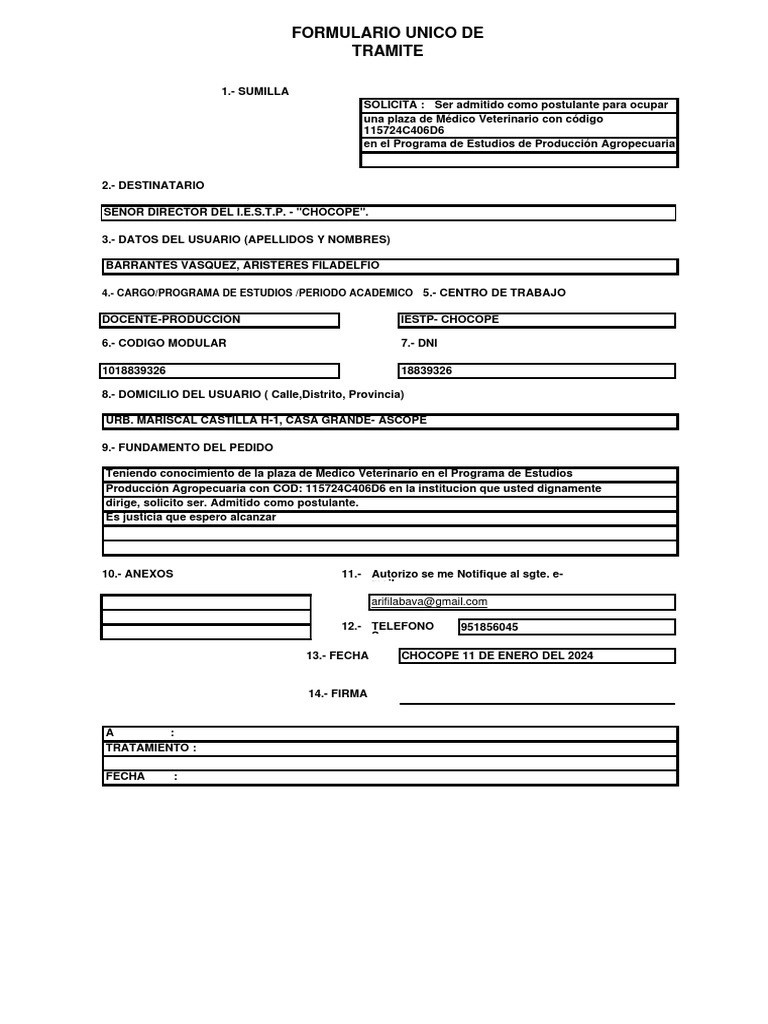 Solicitud Dirigida Al Director General | PDF