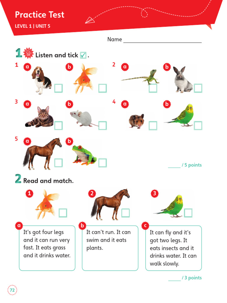 English Code BrE L1 Practice Test U5 | PDF | Biology | Zoology