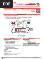 Fredrickson Classification of Hyperlipoproteinemia | PDF | Low Density ...