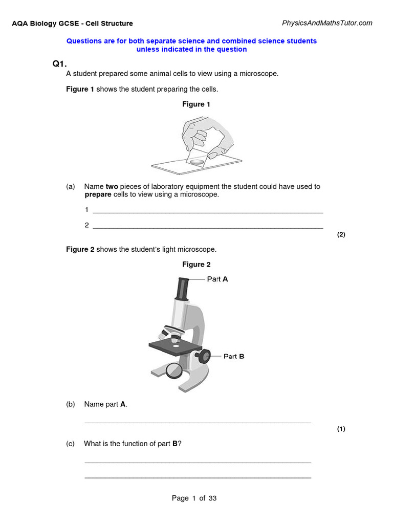 1.1 Cell Structure QP | PDF | Cell (Biology) | Tissue (Biology)