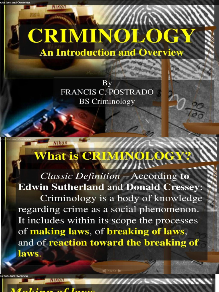 Crim Soc | PDF