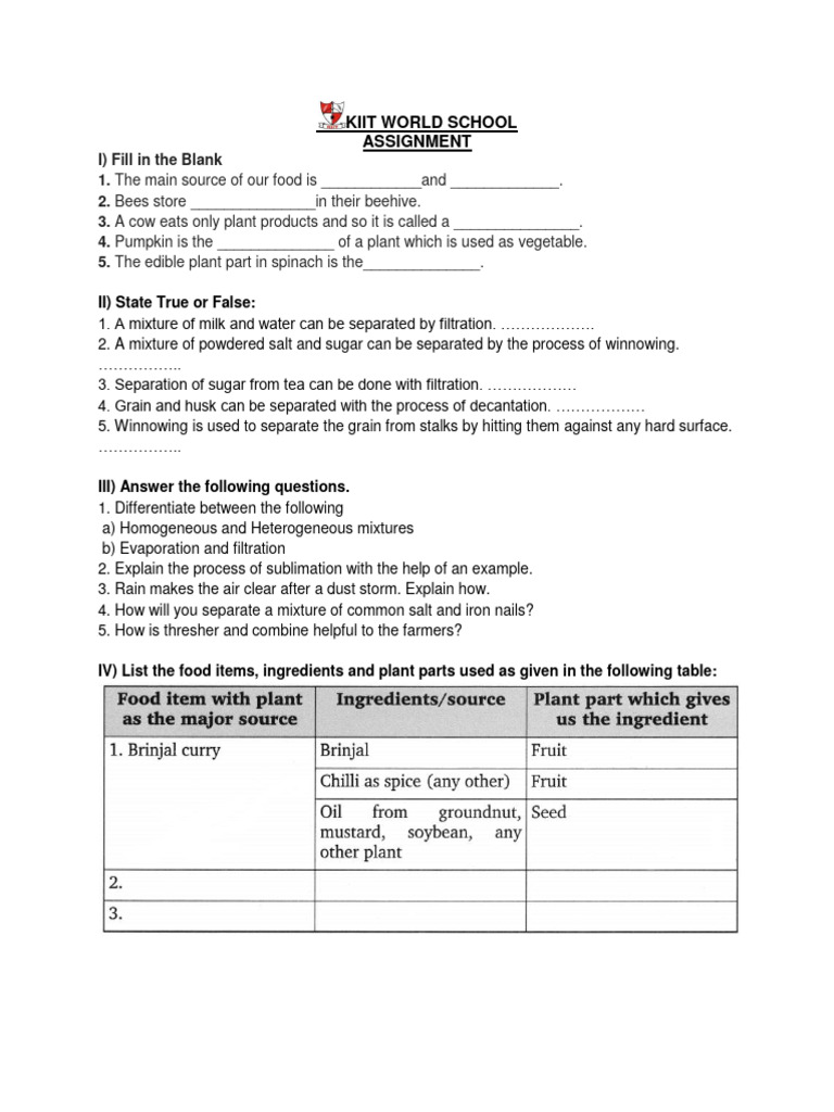 Holiday Homework Assignment Class VI | PDF