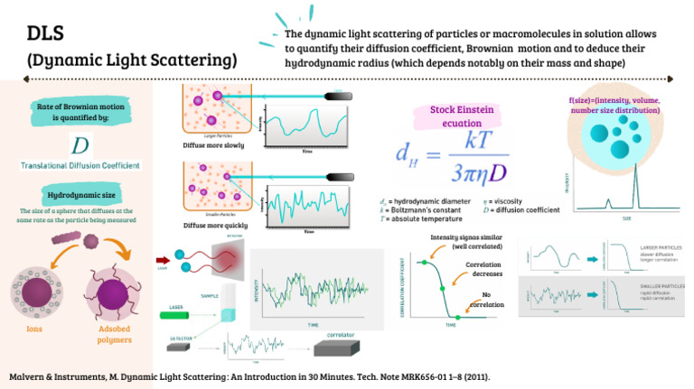 PhD - Dynamic Light Scattering | PDF