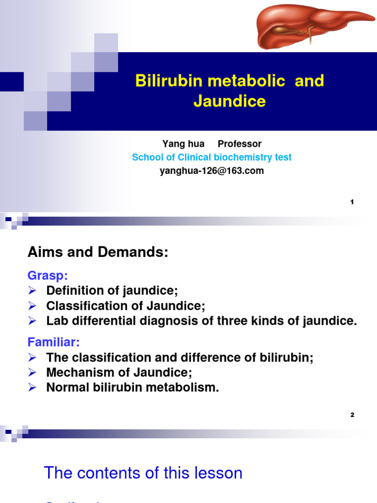 Understanding Jaundice and Bilirubin Metabolism | PDF | Medical ...